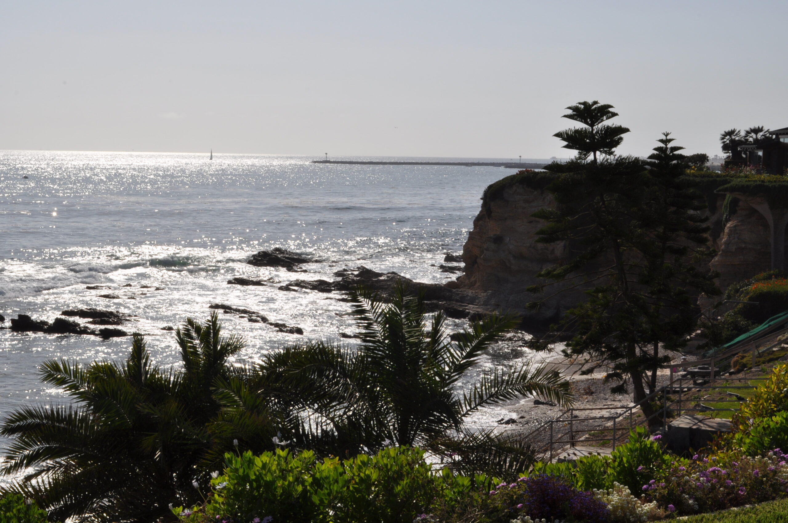 Pre-Demolition Party - 24 Carrots Catering and Events